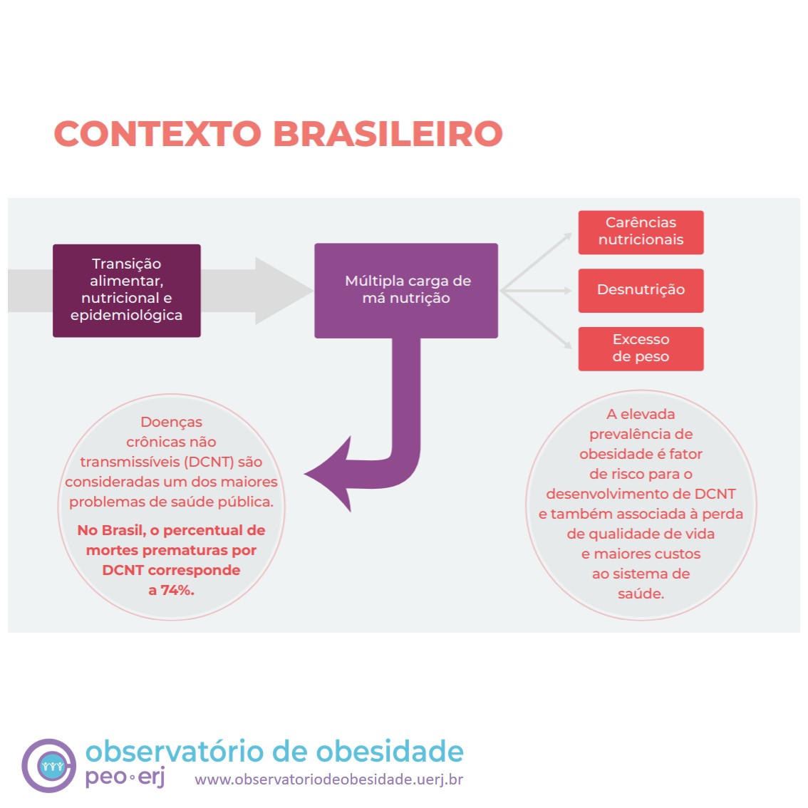 Atlas Da “situação Alimentar E Nutricional No Brasil Excesso De Peso E